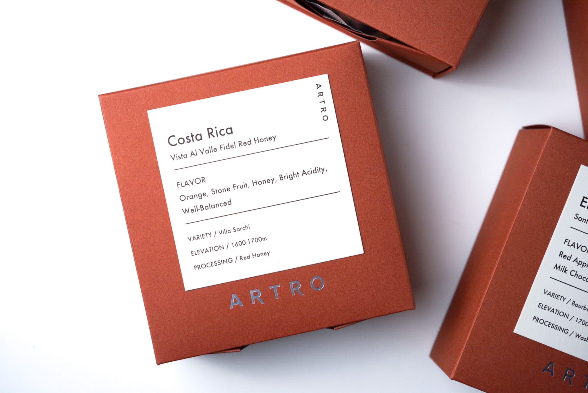 Costa Rica Vista Al Valle Fidel Red Honey ARTRO COFFEE Beans 200g ...